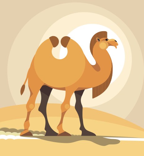 Camel Vector Images (over 19,000)