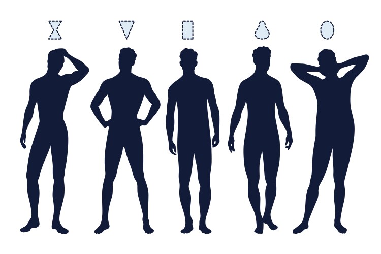 Body Vector Images (over 820,000)