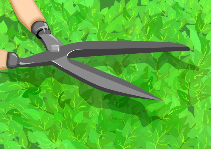 Tree Trimming Vector Images (over 6,200)