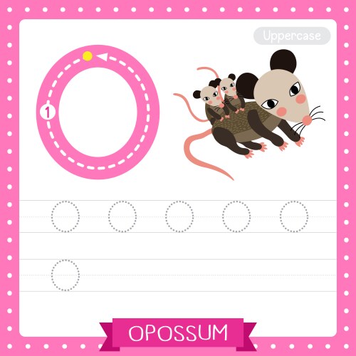 Letter O Flash Cards Vector Images (over 150)