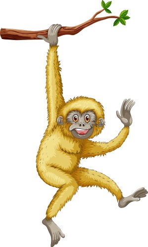 Cartoon smiling gibbon Royalty Free Vector Image