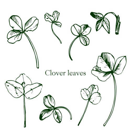Clover Drawing Vector Images (over 7,300)