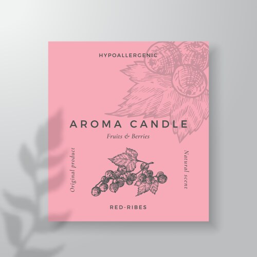 Aroma candle label template chilly pepper Vector Image