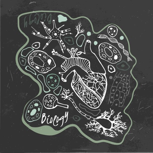 Dna Gene Doodle Vector Images (over 160)