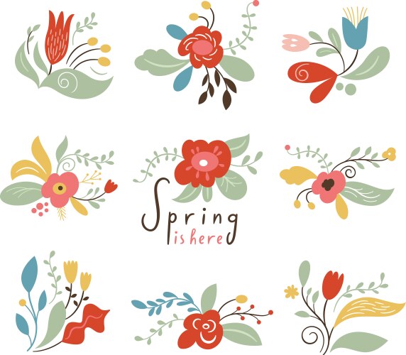 Floral design elements Royalty Free Vector Image