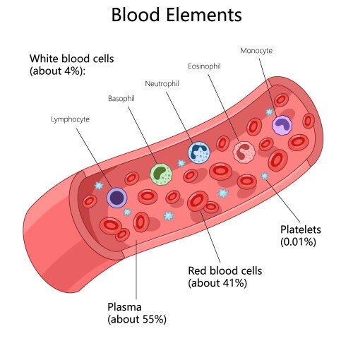 Blood Platelet Vector Images (over 1,800)