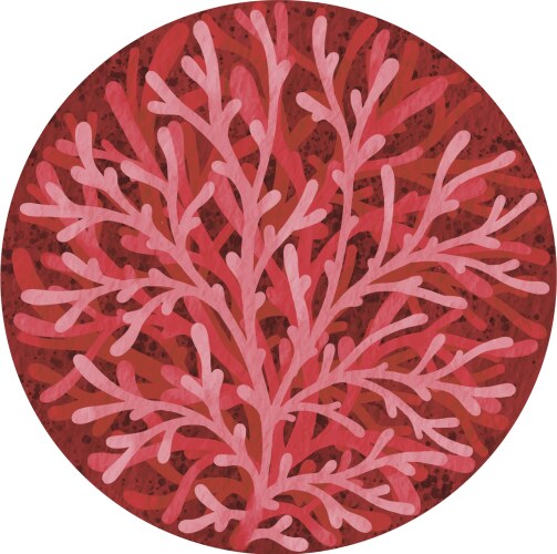 Coral Reef Banner Vector Images (over 1,800)