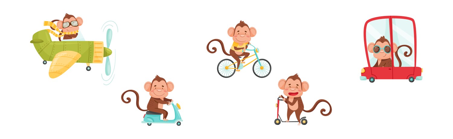 Cute monkey driving and riding transport Vector Image