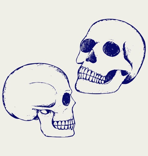 Skull Front Facing Vector Images (over 2,900)