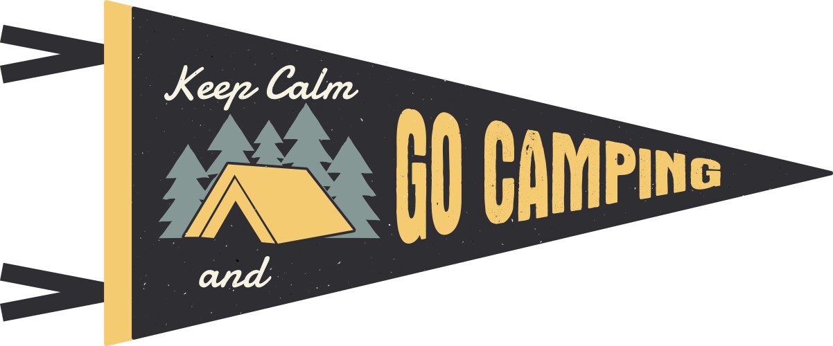 Pennant flag set for college teams Royalty Free Vector Image