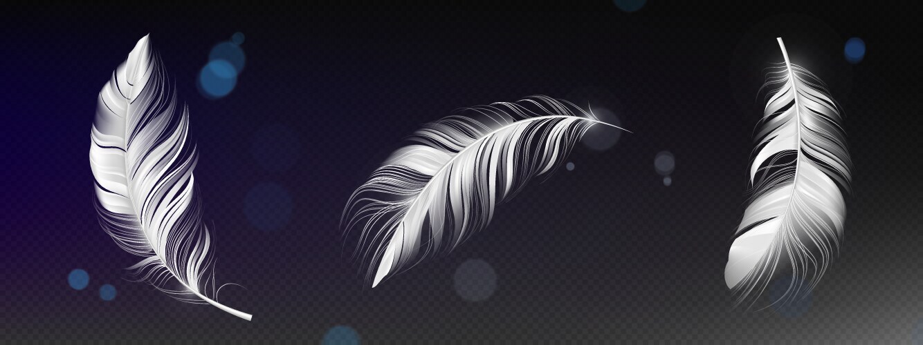 3d feather collection falling Royalty Free Vector Image