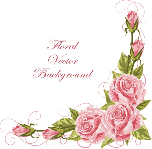Corner background with pink roses and green Vector Image