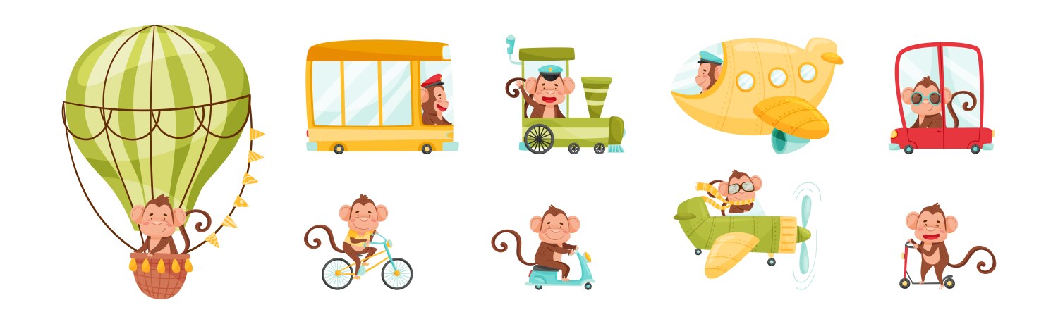Cute monkey driving and riding transport Vector Image