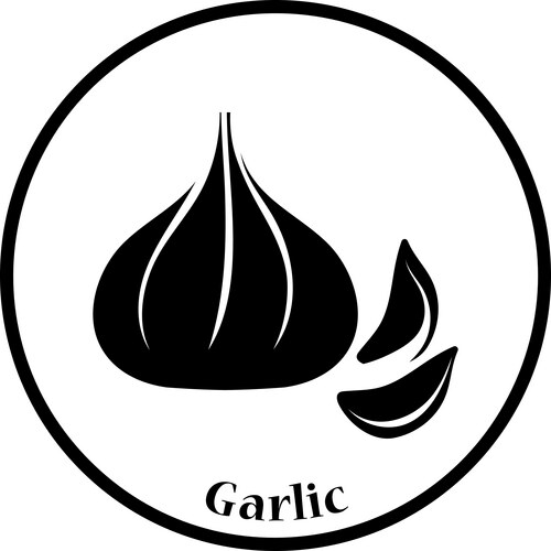 Garlic line icon logo Royalty Free Vector Image