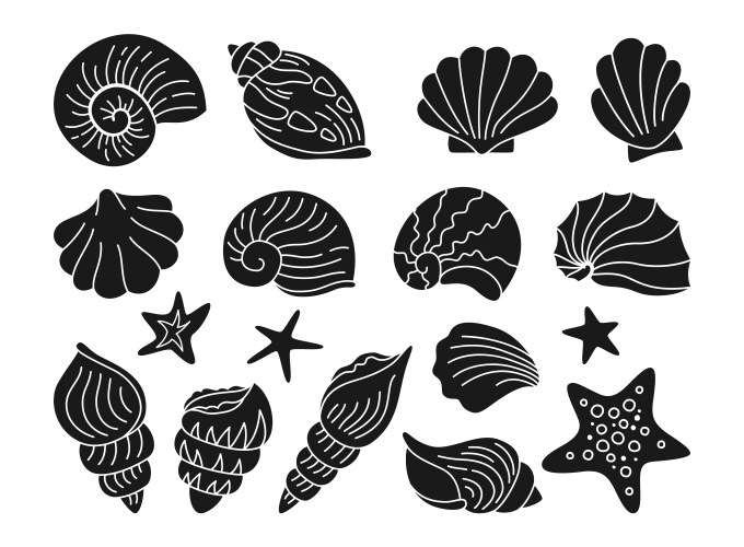 Seashells Stencils Vector Images (95)