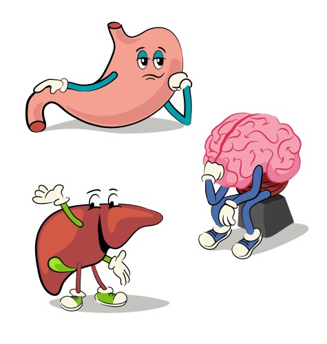 Internal Vector Images (over 550,000)