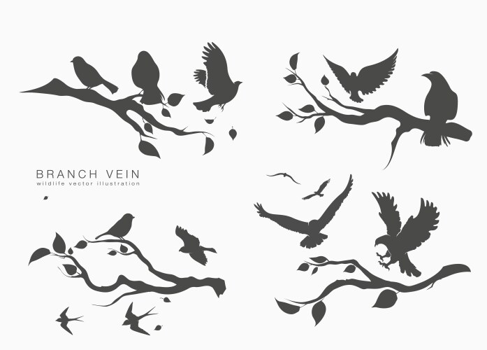 Birds on a tree Royalty Free Vector Image - VectorStock