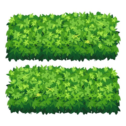 Bush in the form of a green hedge Royalty Free Vector Image