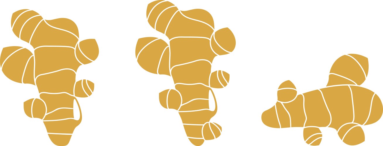 Ginger Royalty Free Vector Image - VectorStock