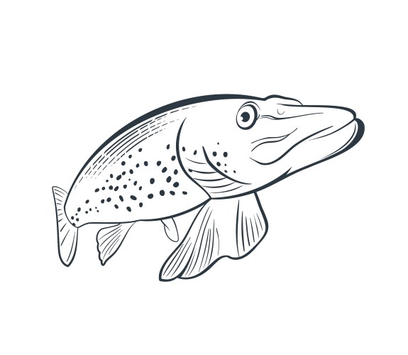 Pike Vector Images (over 7,300)