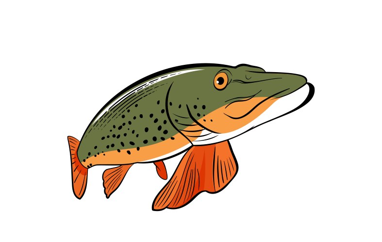 Pike Vector Images (over 7,300)