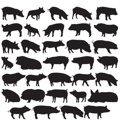 Pigs Vector Images (over 99,000)