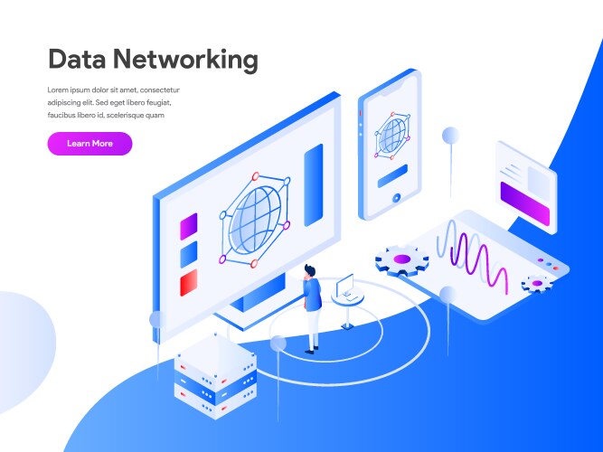 Data classification isometric landing database Vector Image