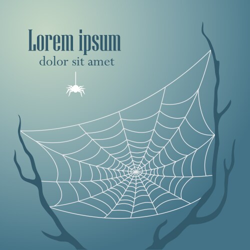 White spiderweb with spiders on transparent Vector Image