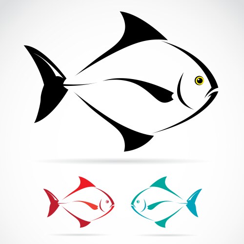 Fish Pompano Vector Images (27)