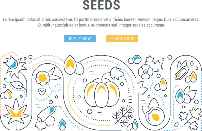 Sunflower flowers and seeds background Royalty Free Vector