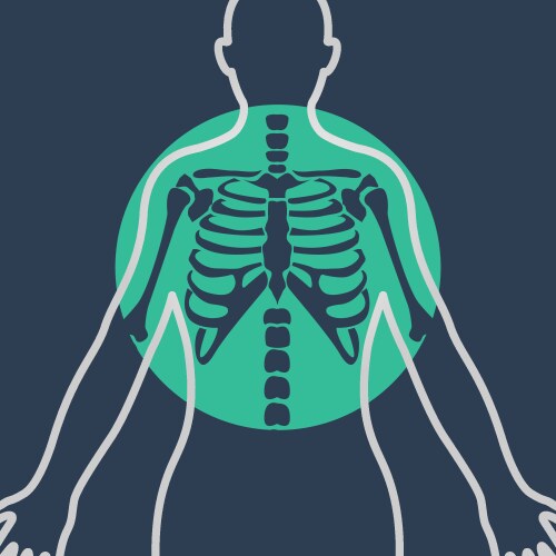 Skeleton scan Royalty Free Vector Image - VectorStock