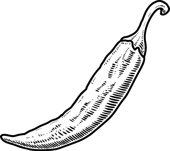 Chili Pepper Black and White Vector Images (over 12,000)