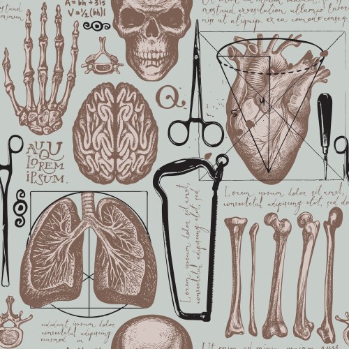 Anatomy seamless pattern with sketches on medical Vector Image