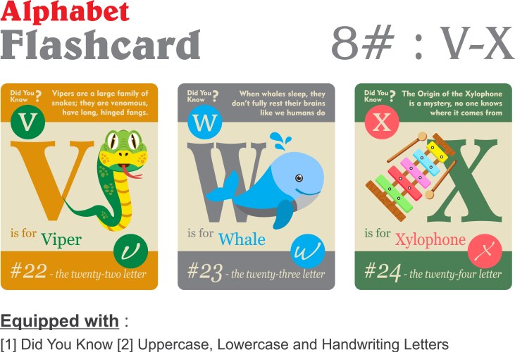 Shape flash cards 2d flashcards or flashcard Vector Image