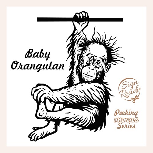 Orangutan Vector Images (over 3,100)