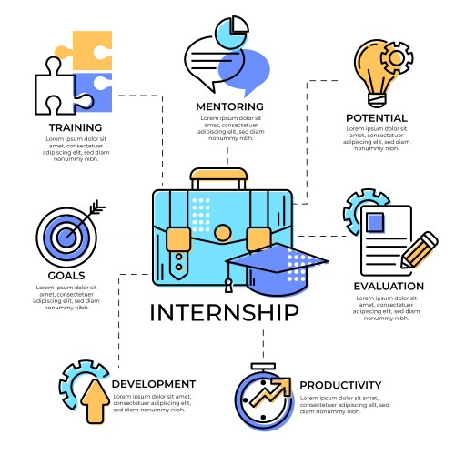 Internship training infographic Royalty Free Vector Image
