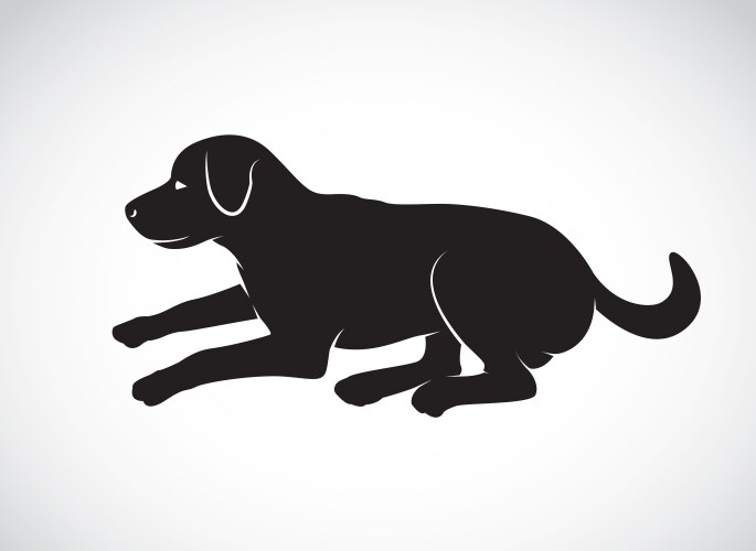 Labrador Vector Images (over 11,000)