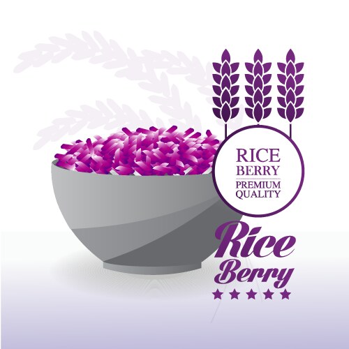 Rice2 Royalty Free Vector Image - VectorStock