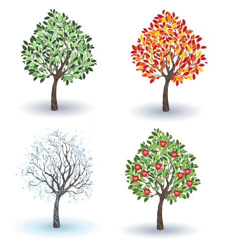 Apple tree Royalty Free Vector Image - VectorStock