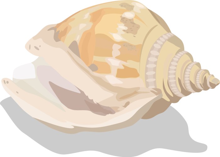 Nature shell icon cartoon style Royalty Free Vector Image