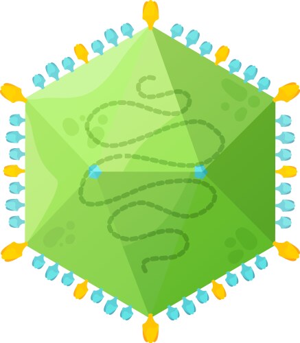 Poxviridae human virus composition Royalty Free Vector Image