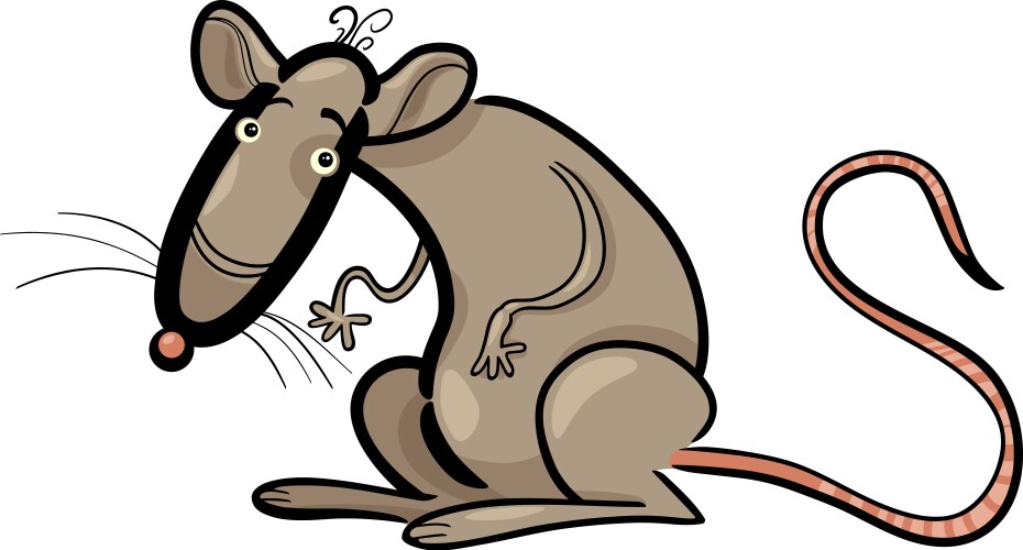Rat cartoon character Royalty Free Vector Image
