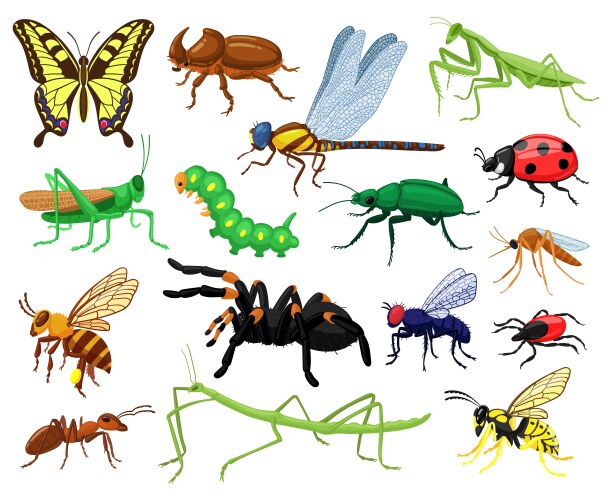 Cartoon Insects Vector Images (over 77,000)