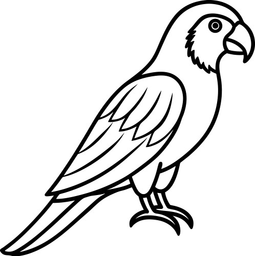 Parrot bird outline Vector Images & Graphics for Commercial Use ...