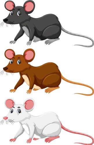 Cartoon rat with angry expression Royalty Free Vector Image