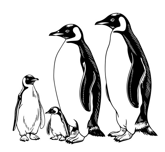 Penguin Outline Vector Images (over 2,700)