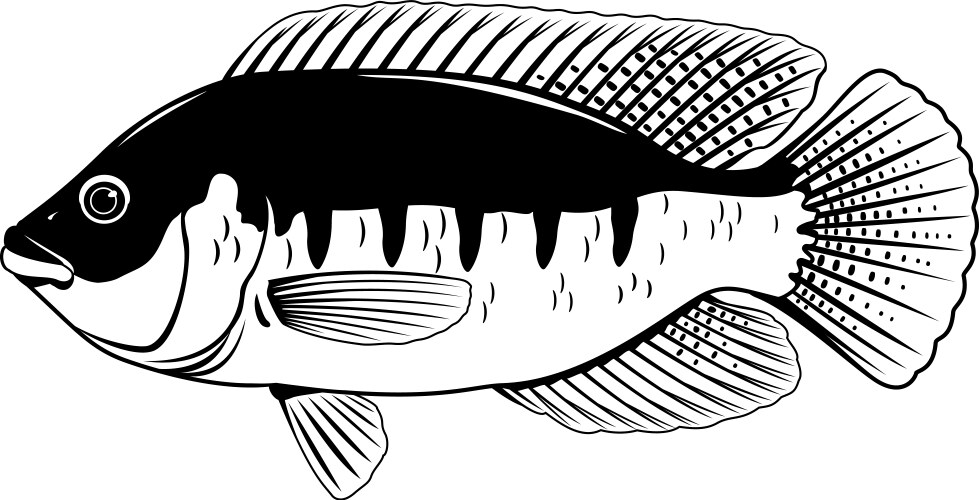 Fish Black and White Vector Images (over 180,000)