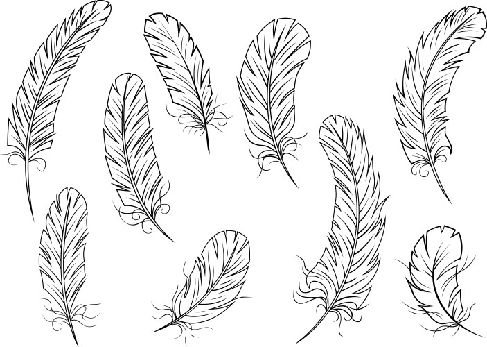 Feather Outline Vector Images (over 59,000)