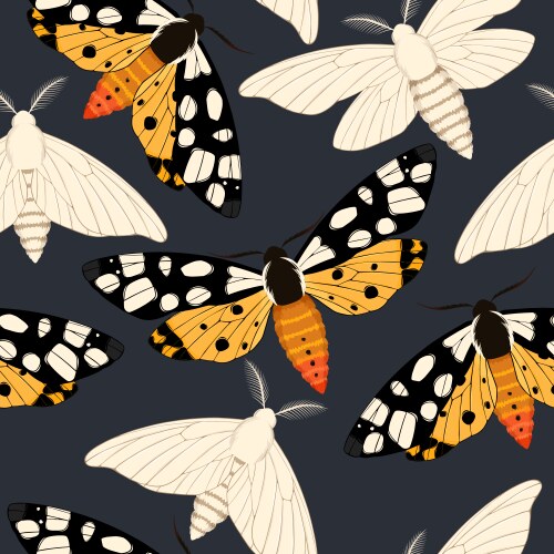 Seamless pattern with hand drawn moths Royalty Free Vector