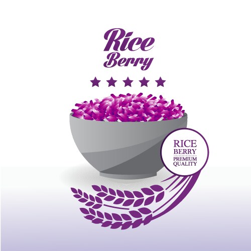 Rice2 Royalty Free Vector Image - VectorStock